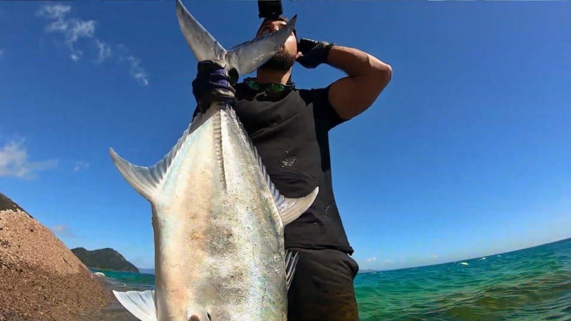 Giant Trevally | Big Reptiles | Frothin’ Tuna!! Amazing day island ...
